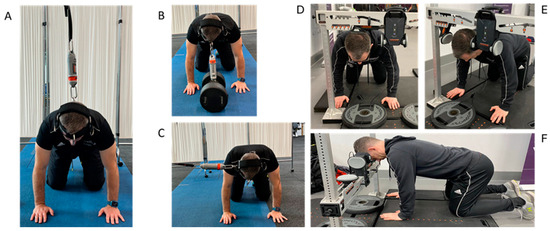 Between-Session Reliability of Field-Based Assessments of Isometric ...