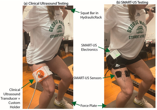 Distributed Wearable Ultrasound Sensors Predict Isometric Ground ...