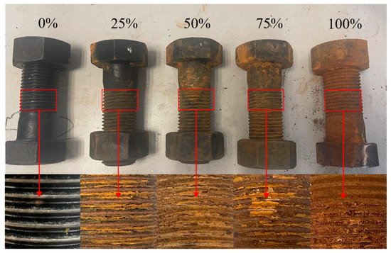 Research on a Method for Classifying Bolt Corrosion Based on an ...