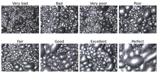 Deep Ensemble Learning-Based Sensor for Flotation Froth Image Recognition