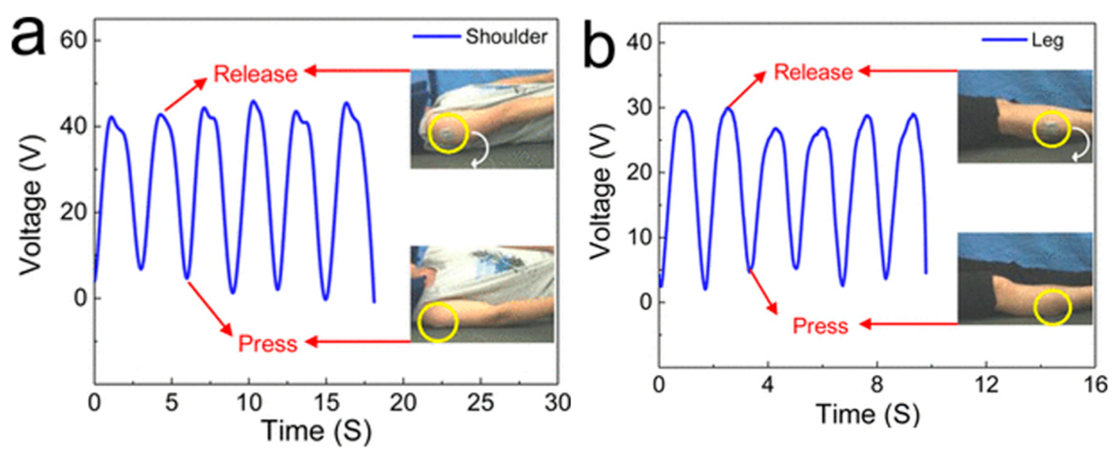 Advancements in Flexible Sensors for Monitoring Body Movements during ...