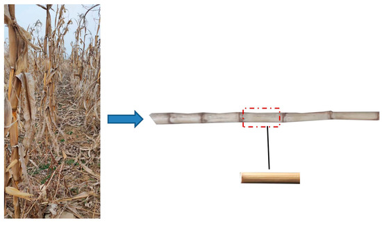 Calibration and Validation of Simulation Parameters for Maize Straw ...