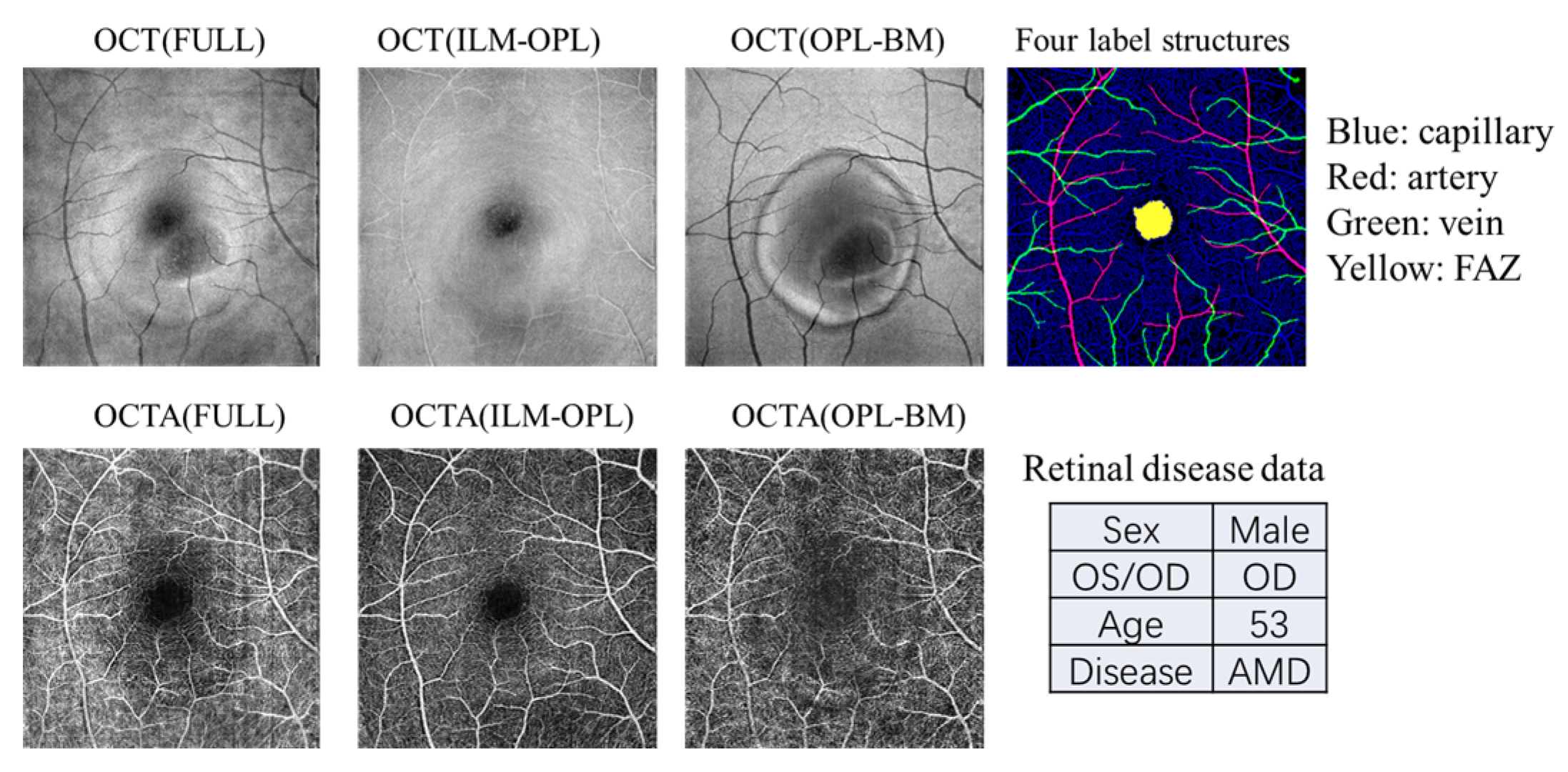 Sensors | Free Full-Text | The Framework of Quantifying Biomarkers of ...
