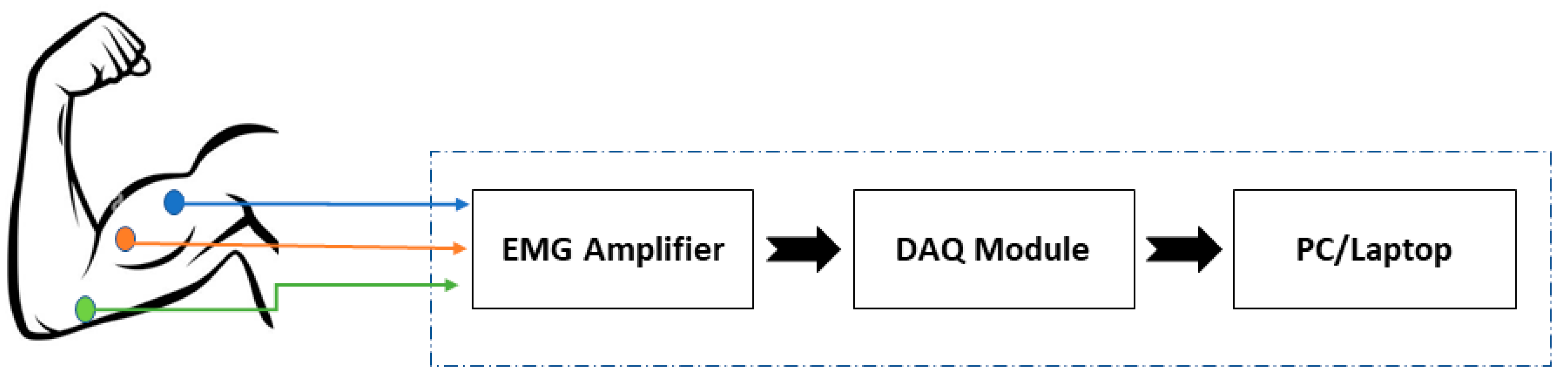Enhanced Hand Gesture Recognition with Surface Electromyogram and Machine Learning