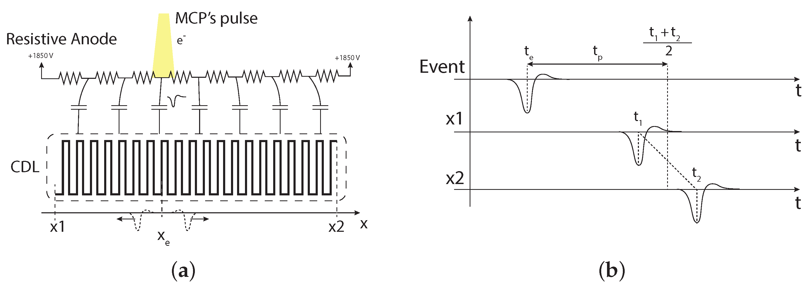 High Spatial Resolution Detector System Based on Reconfigurable Dual ...