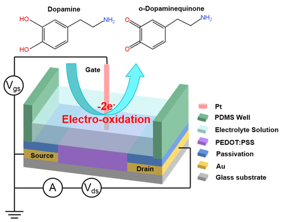 Microscale Sensor Arrays for the Detection of Dopamine Using PEDOT:PSS Organic Electrochemical ...