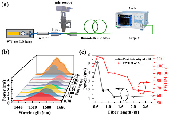 Er3+/Yb3+ Co-Doped Fluorotellurite Glass Fiber with Broadband Luminescence