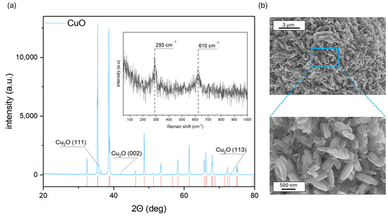 Sensors | Free Full-Text | Comparative Study of Polymer-Modified Copper ...