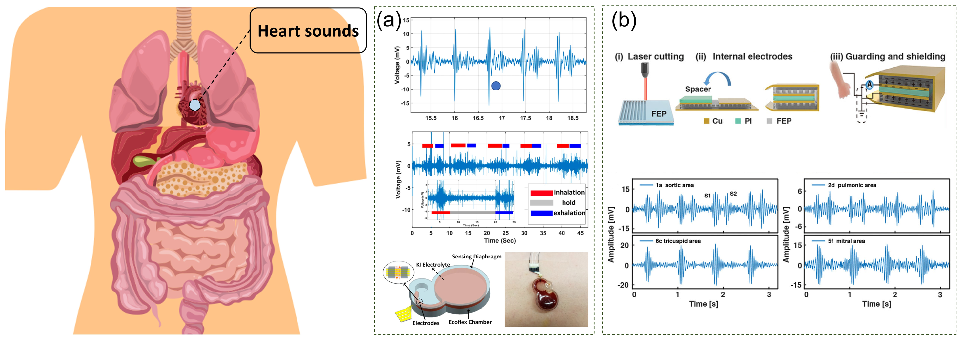 Advances in Portable and Wearable Acoustic Sensing Devices for Human ...