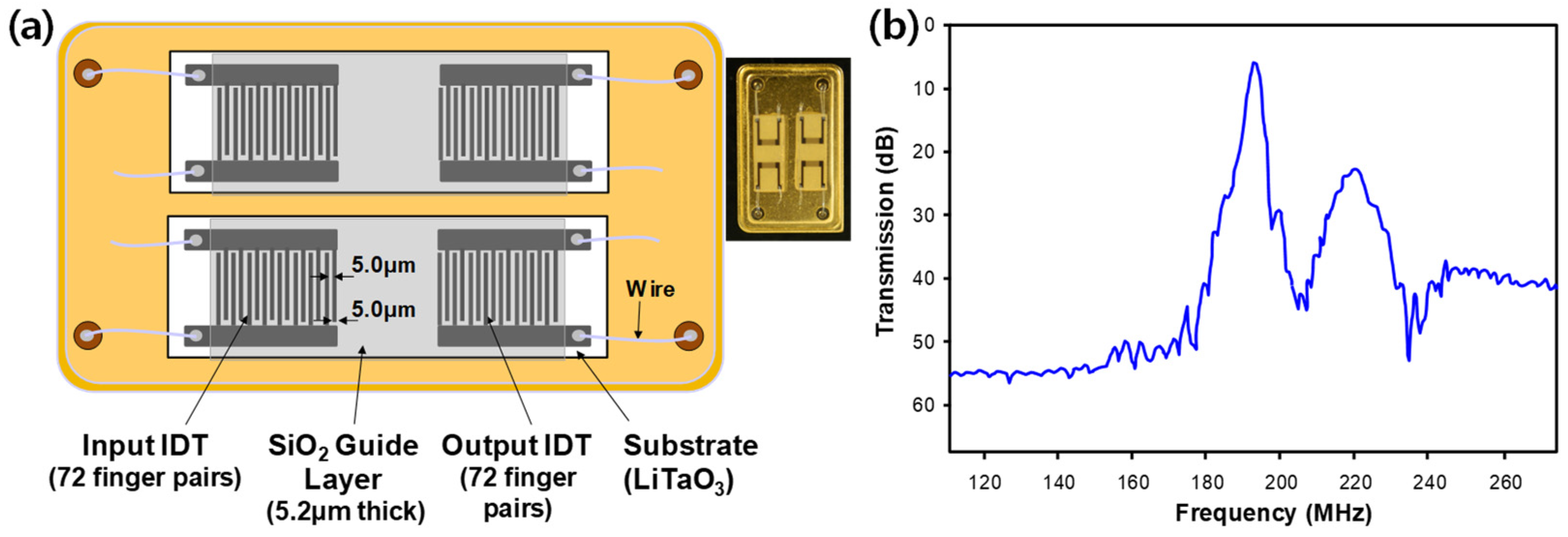 Isolation and Characterization of Exosomes from Cancer Cells Using ...