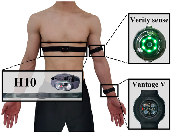 Sensors | Free Full-Text | Combined Impact of Heart Rate Sensor ...