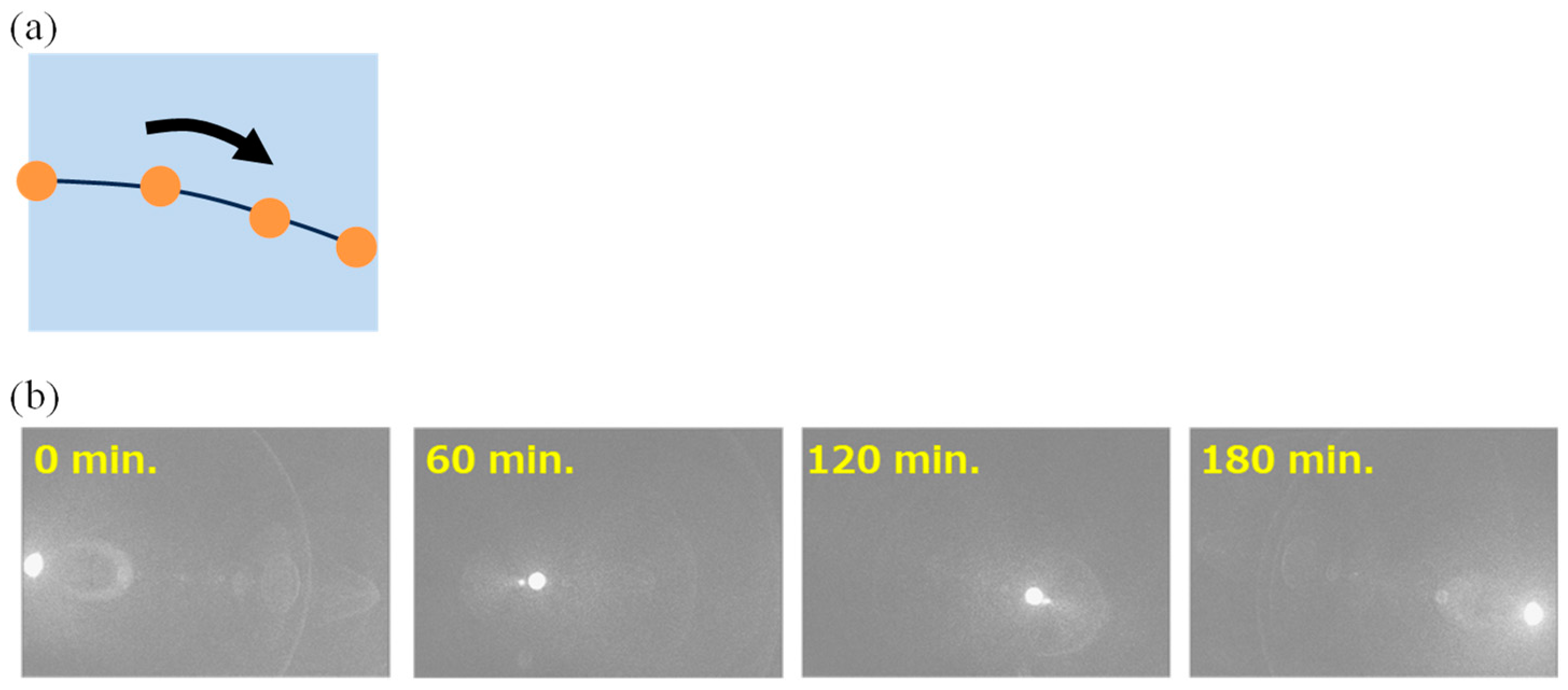 Robust Pixel Design Methodologies for a Vertical Avalanche Photodiode (VAPD)-Based CMOS Image Sensor