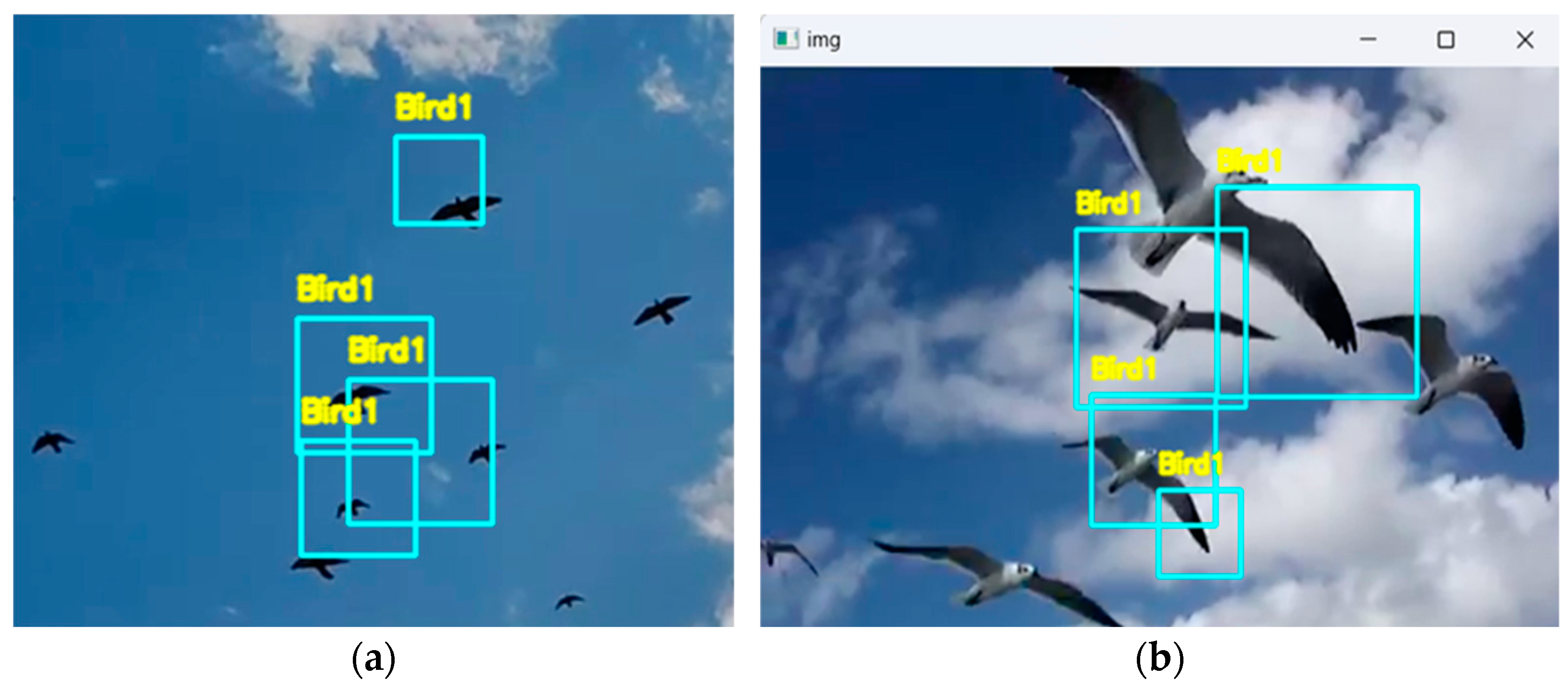 Sensors | Free Full-Text | A Deep Learning Framework for Real-Time Bird Detection and Its ...