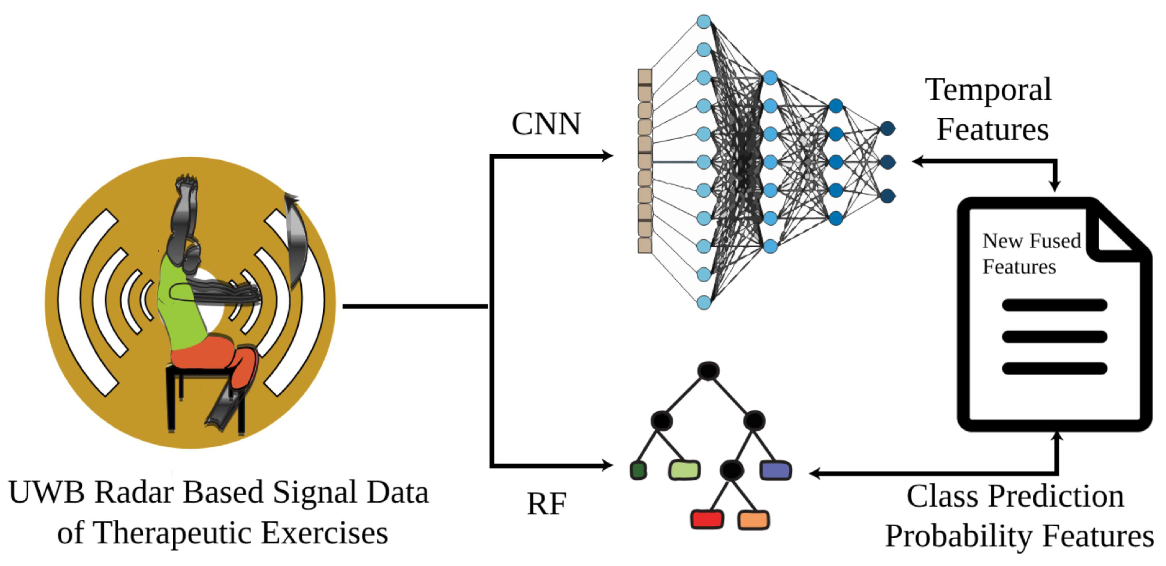 Therapeutic Exercise Recognition Using a Single UWB Radar with AI ...