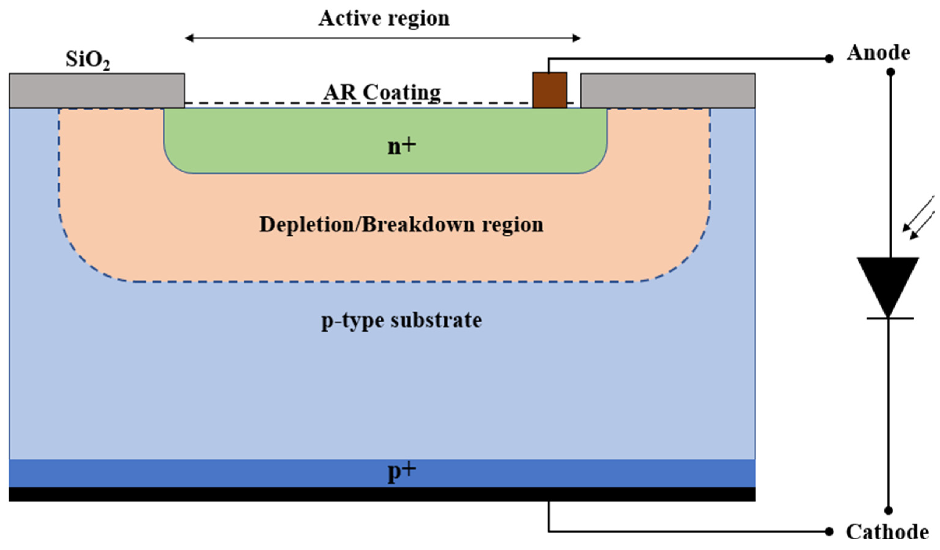 Design of an Electronic Interface for Single-Photon Avalanche Diodes