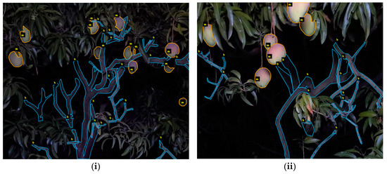 Developing Machine Vision in Tree-Fruit Applications—Fruit Count, Fruit ...