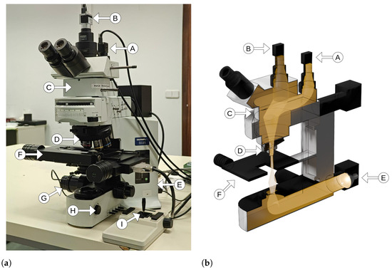 A Microscope Setup and Methodology for Capturing Hyperspectral and RGB ...