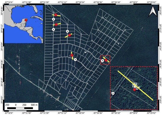Evaluating Thermal Infrared Drone Flight Parameters on Spider Monkey ...