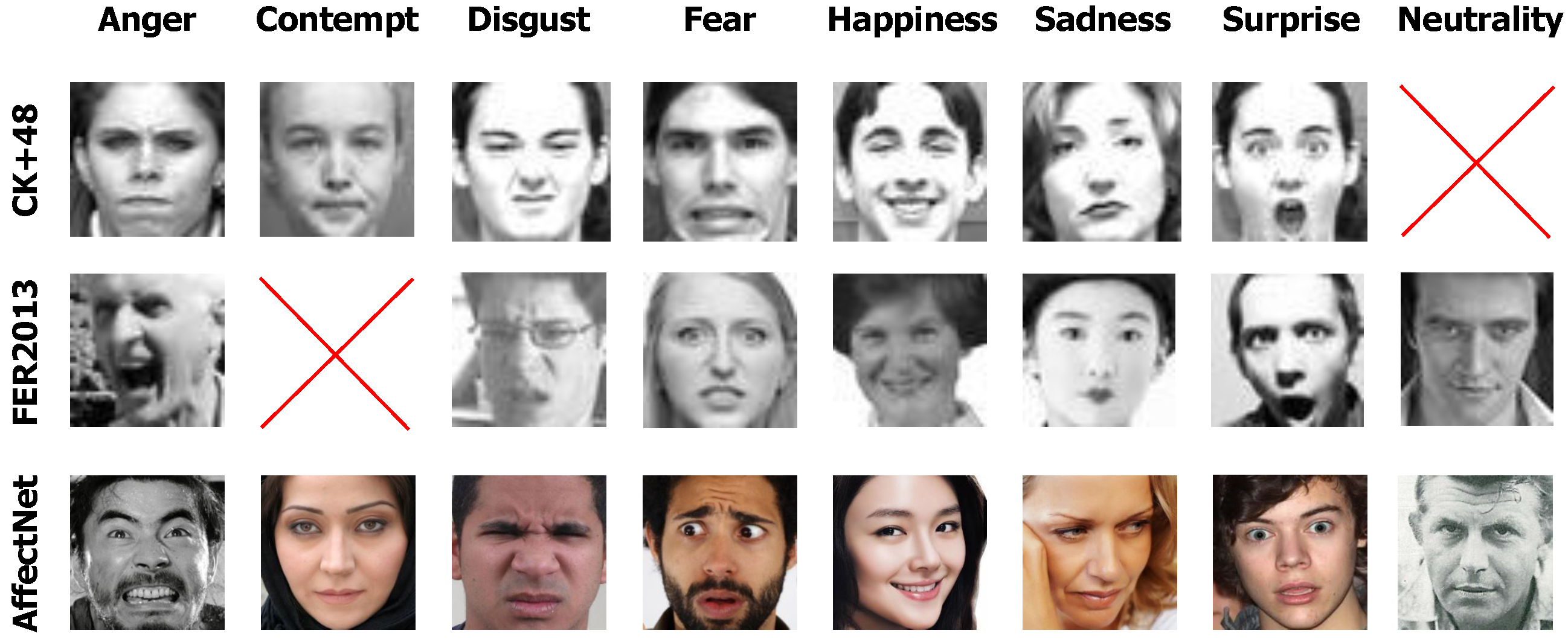 Enhancing Facial Expression Recognition through Light Field Cameras