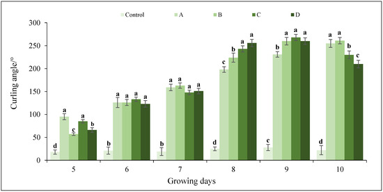 Characterization of Root Hair Curling and Nodule Development in Soybean ...