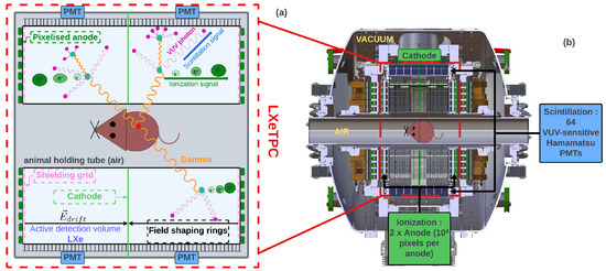 Scintillation in Liquid Xenon for Gamma-Ray Medical Imaging: From ...