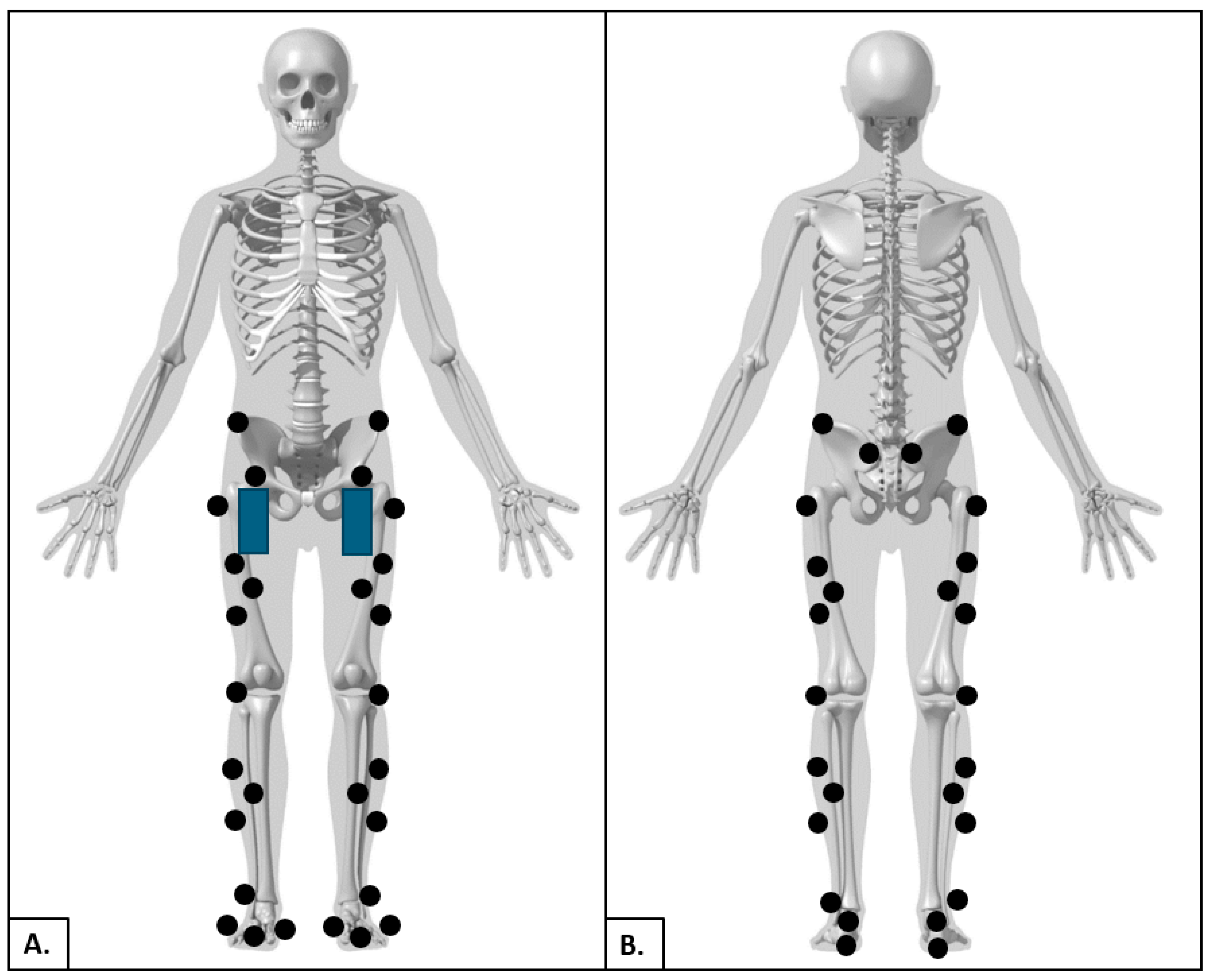 Evaluation of Smartphone Technology on Spatiotemporal Gait in Older and Diseased Adult Populations