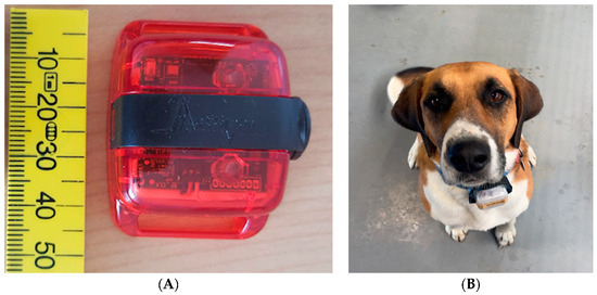 The Use of Triaxial Accelerometers and Machine Learning Algorithms for ...