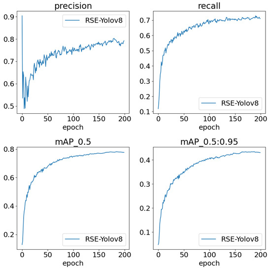 RSE-YOLOv8: An Algorithm for Underwater Biological Target Detection