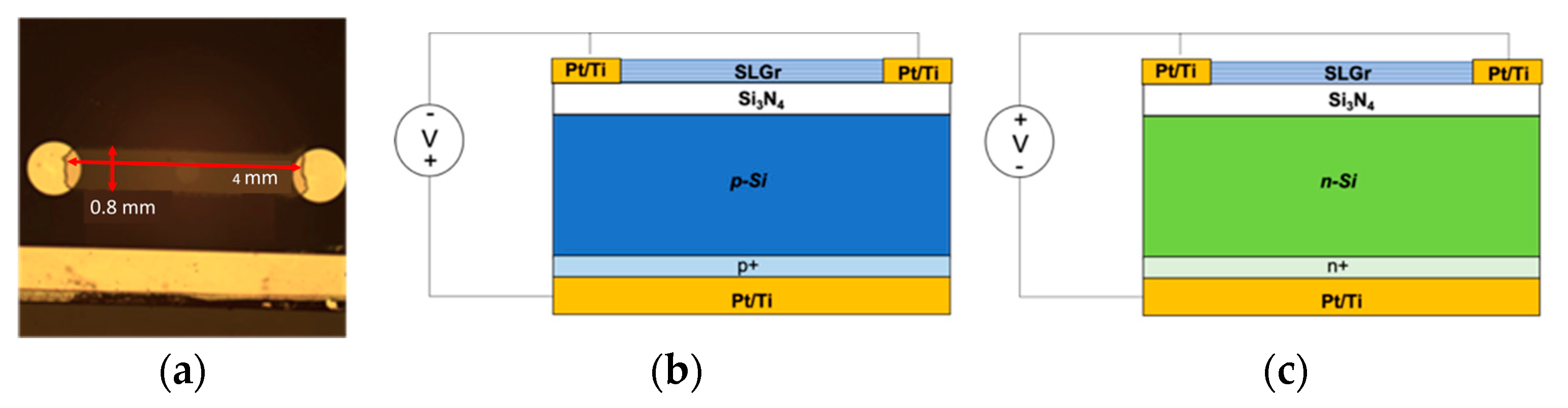 Investigation of Graphene Single Layer on P-Type and N-Type Silicon ...