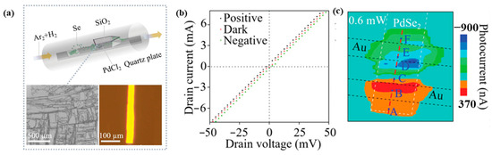 Advances in Group-10 Transition Metal Dichalcogenide PdSe2-Based ...