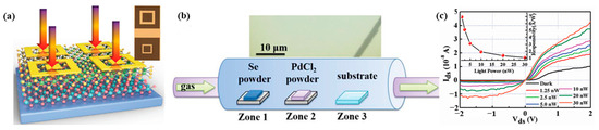 Advances in Group-10 Transition Metal Dichalcogenide PdSe2-Based ...