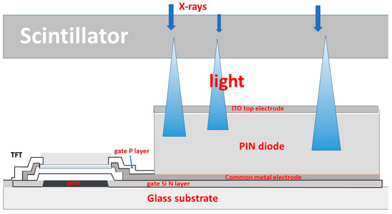 Radiation Detectors and Sensors in Medical Imaging