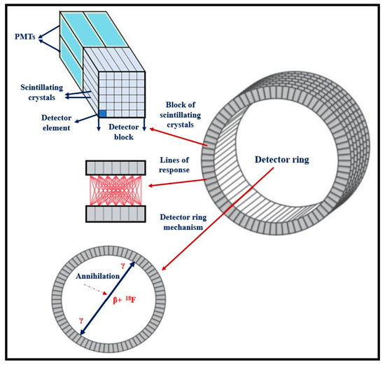 Radiation Detectors and Sensors in Medical Imaging