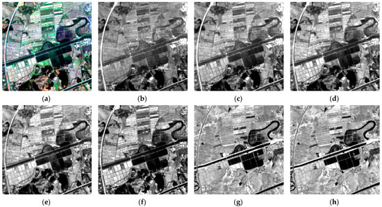 Blind Deblurring Method for CASEarth Multispectral Images Based on Inter-Band Gradient ...