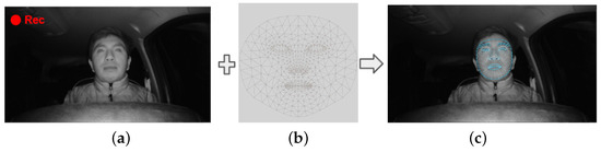 A Real-Time Embedded System for Driver Drowsiness Detection Based on Visual Analysis of the Eyes ...