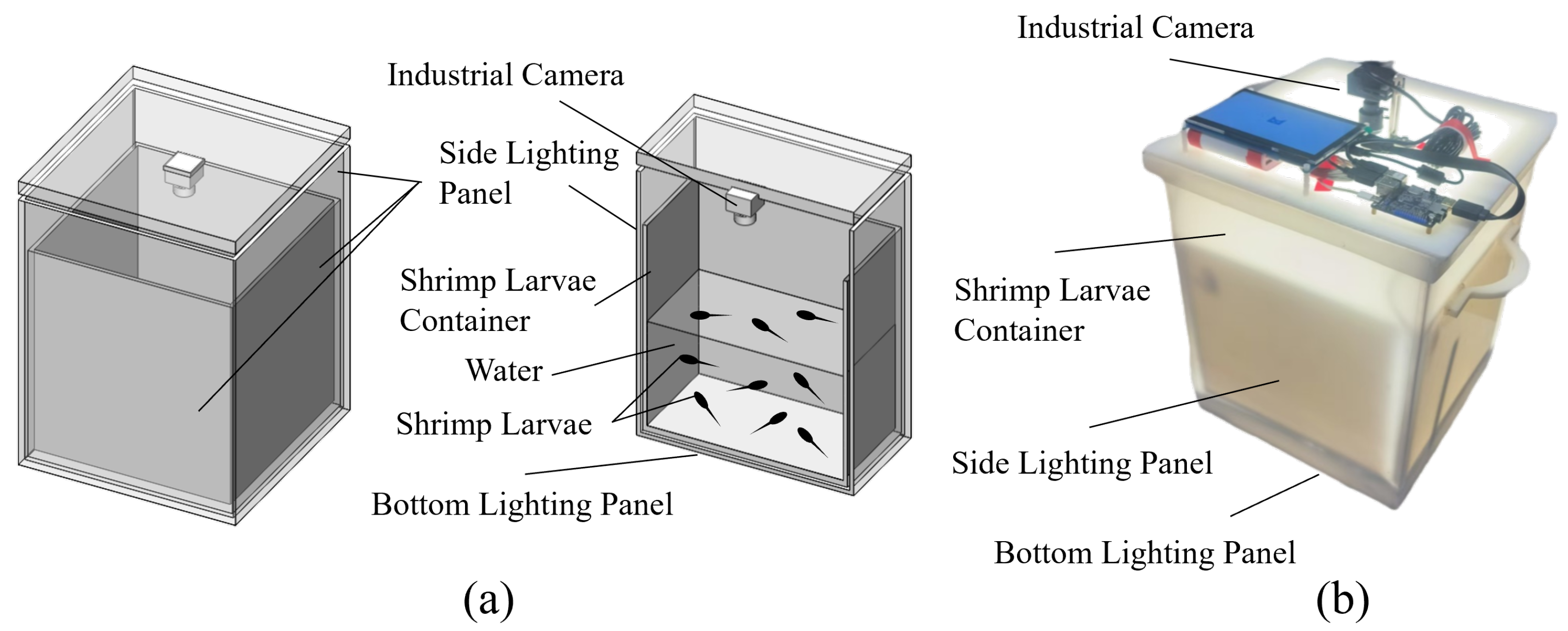 Shrimp Larvae Counting Based on Improved YOLOv5 Model with Regional Segmentation