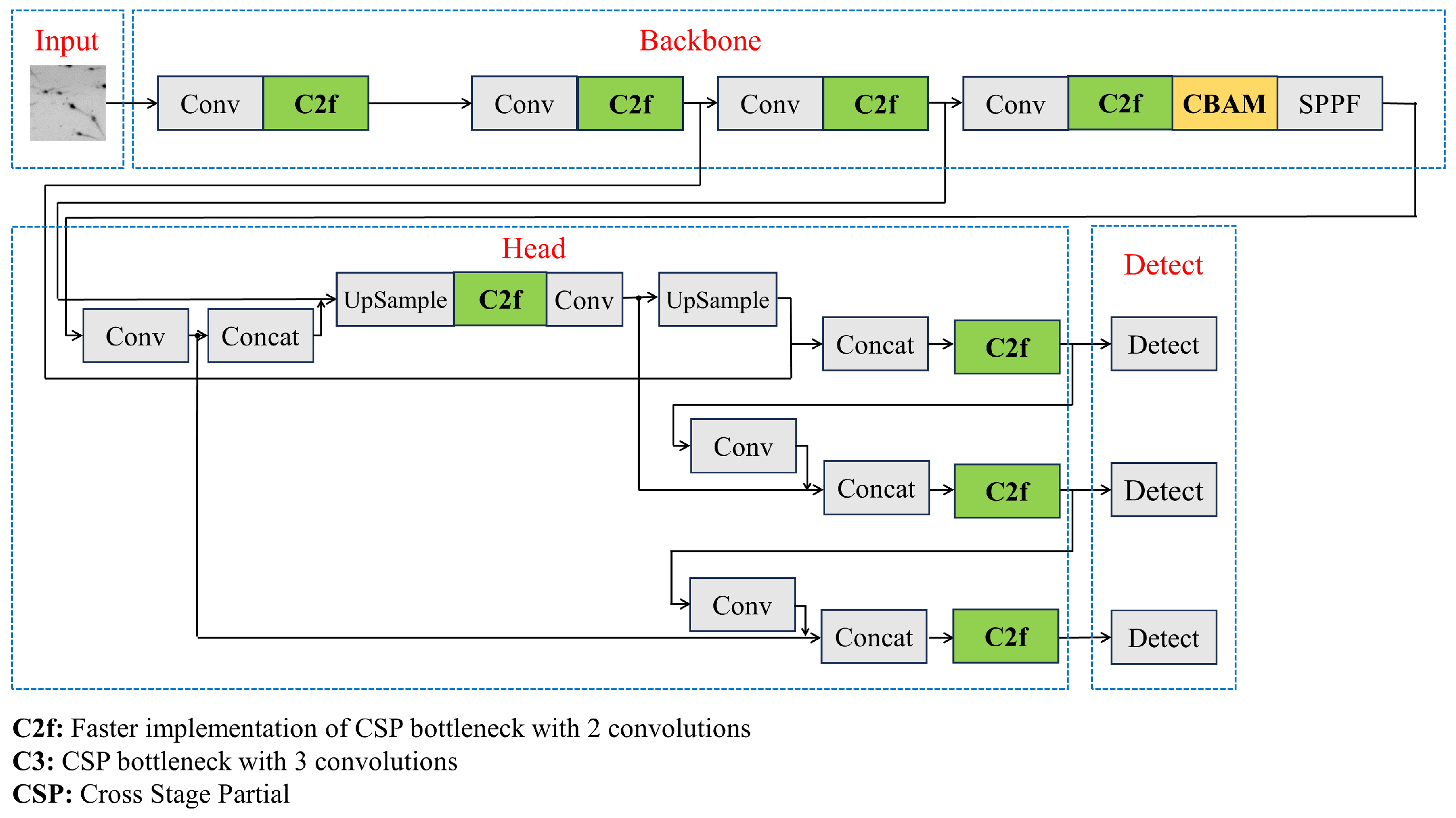 Shrimp Larvae Counting Based on Improved YOLOv5 Model with Regional Segmentation
