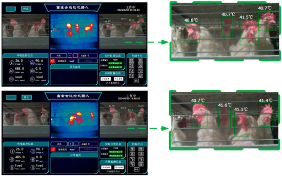 A Dataset of Visible Light and Thermal Infrared Images for Health ...