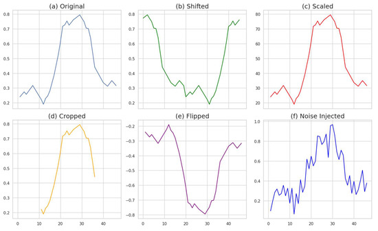 Extraction of Features for Time Series Classification Using Noise Injection