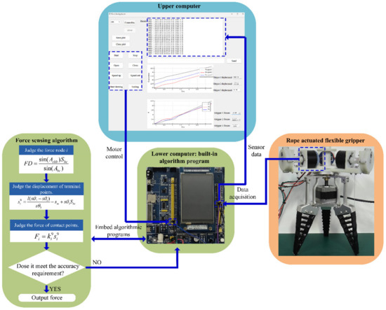 Design and Experimental Test of Rope-Driven Force Sensing Flexible Gripper