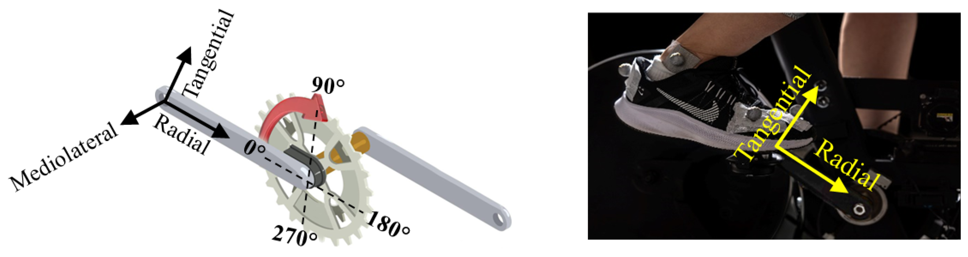 A Machine Learning Approach for Predicting Pedaling Force Profile in ...