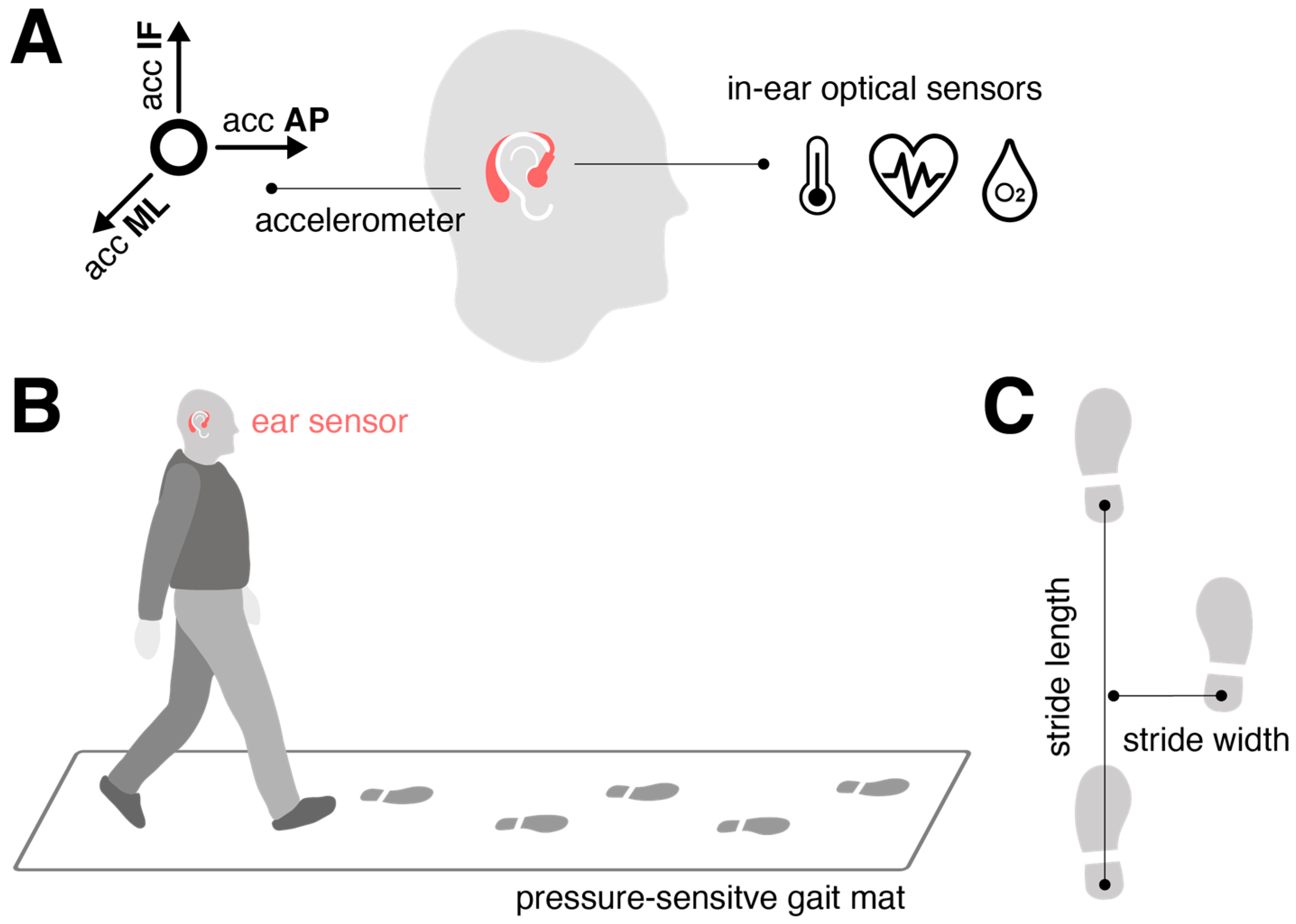 Mobile Spatiotemporal Gait Segmentation Using an Ear-Worn Motion Sensor and Deep Learning