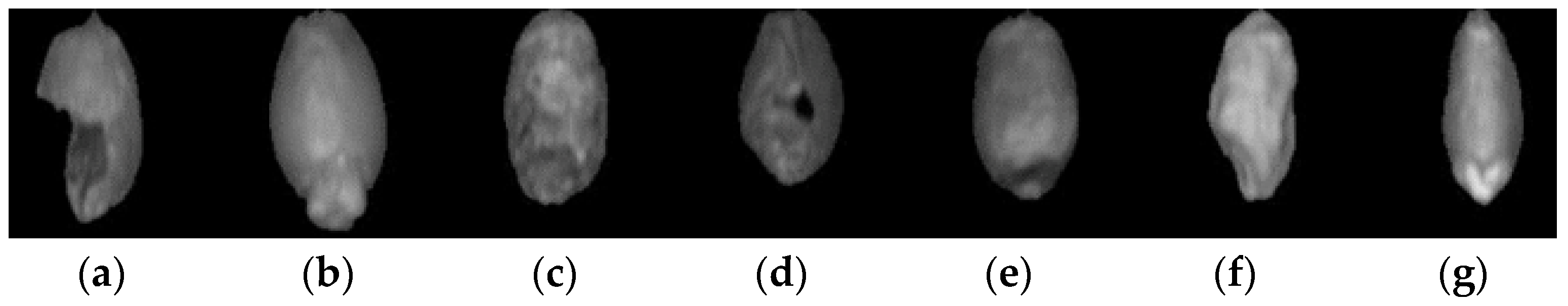 Research on the Method of Imperfect Wheat Grain Recognition Utilizing ...