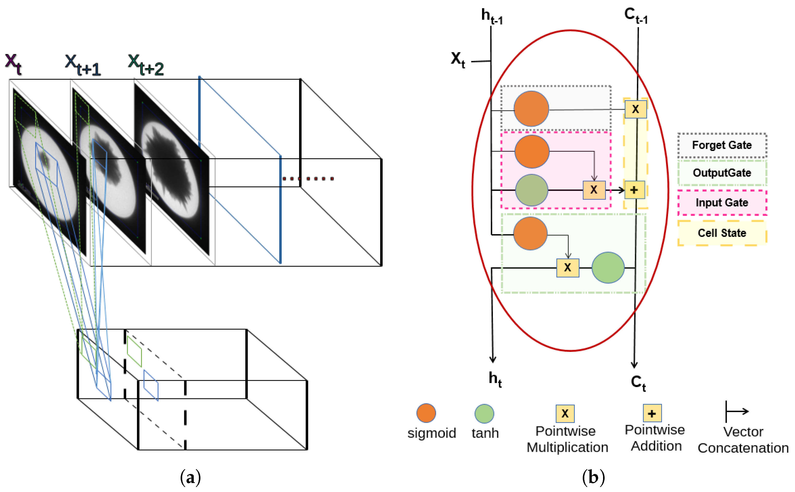 Exploiting Temporal Features in Calculating Automated Morphological Properties of Spiky ...