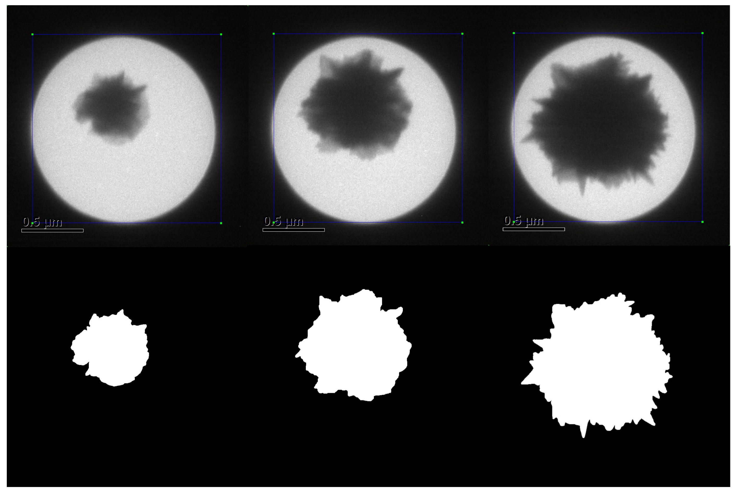 Exploiting Temporal Features in Calculating Automated Morphological Properties of Spiky ...