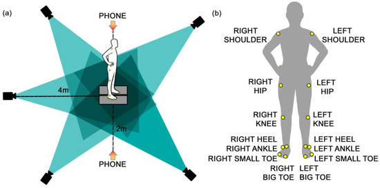 Validation of Automated Countermovement Vertical Jump Analysis: Markerless Pose Estimation vs ...