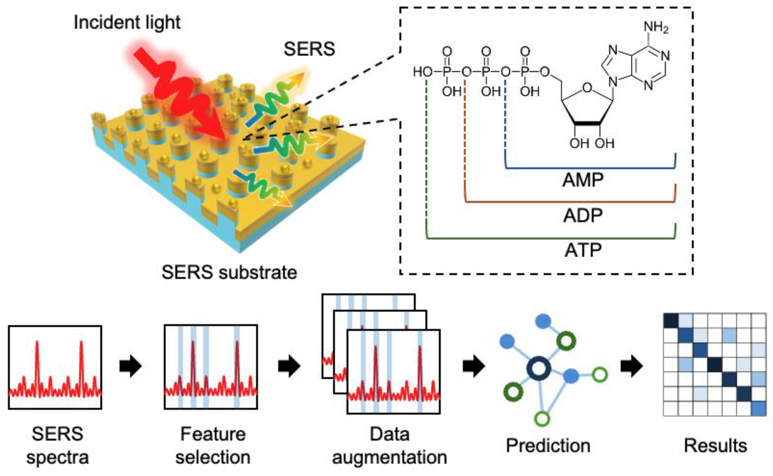 Simultaneous Recognition and Detection of Adenosine Phosphates by ...