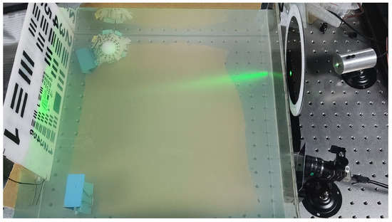 Polarization-Enhanced Underwater Laser Range-Gated Imaging for ...