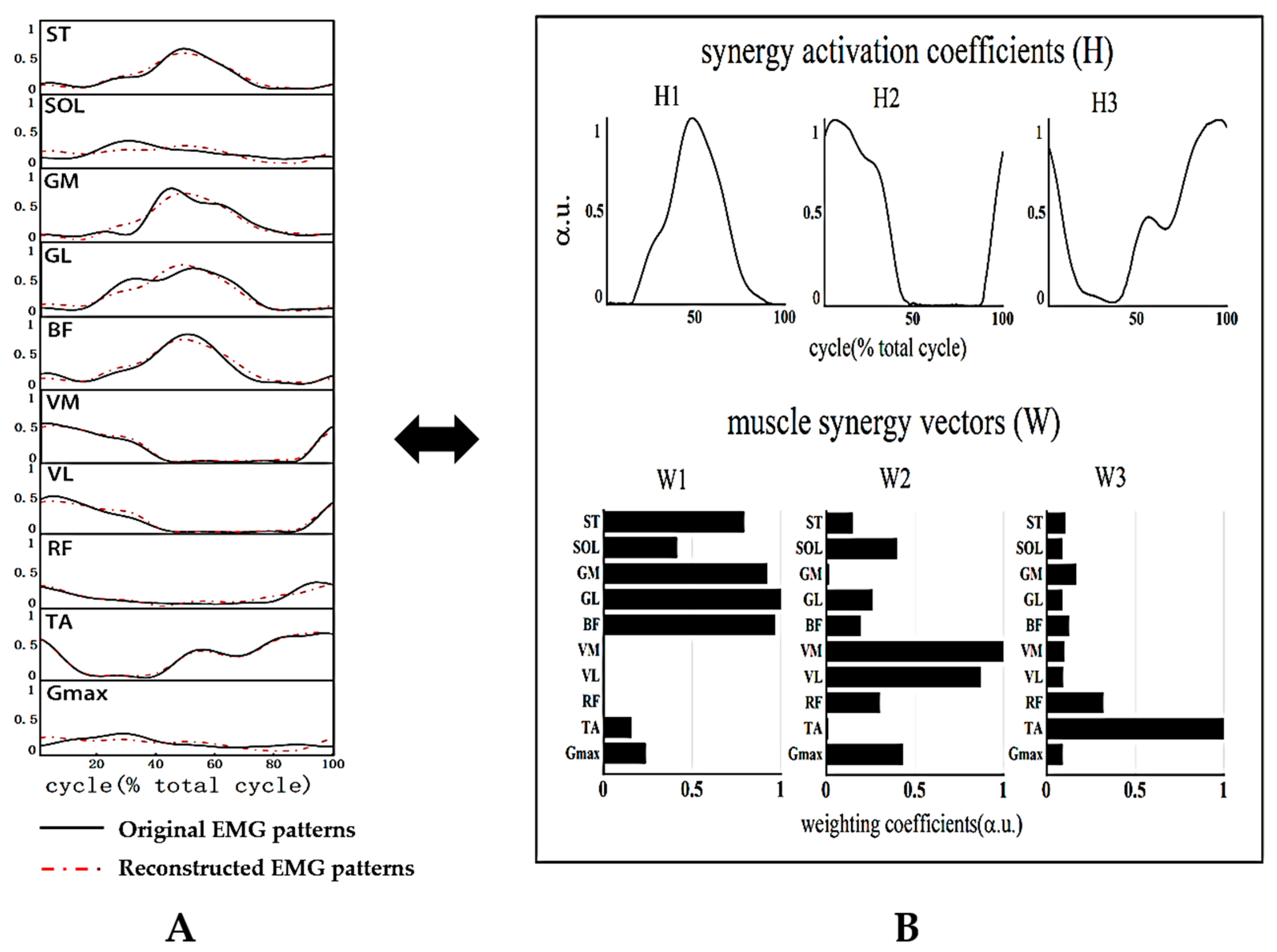Comparison of Lower-Limb Muscle Synergies Between Young and Old People ...
