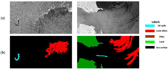 Marine Oil Pollution Monitoring Based on a Morphological Attention U ...
